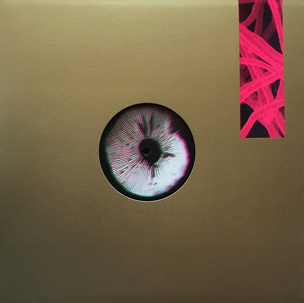 Andrea Taeggi - Mycorrhiza (LP) – Further Records