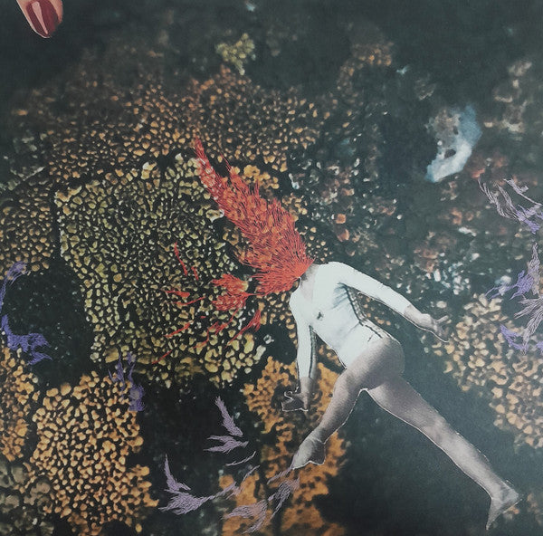 Clothilde - Cross Sections (LP) – Further Records