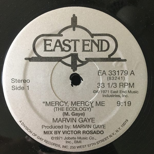 Marvin Gaye - Mercy, Mercy Me (The Ecology) (12") – Further Records